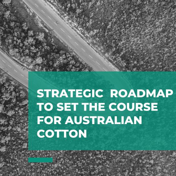 Developing Australian Cotton Industry Roadmap | Mirage News