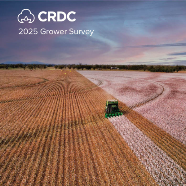 2025 Cotton Grower Survey: Read Report | Mirage News